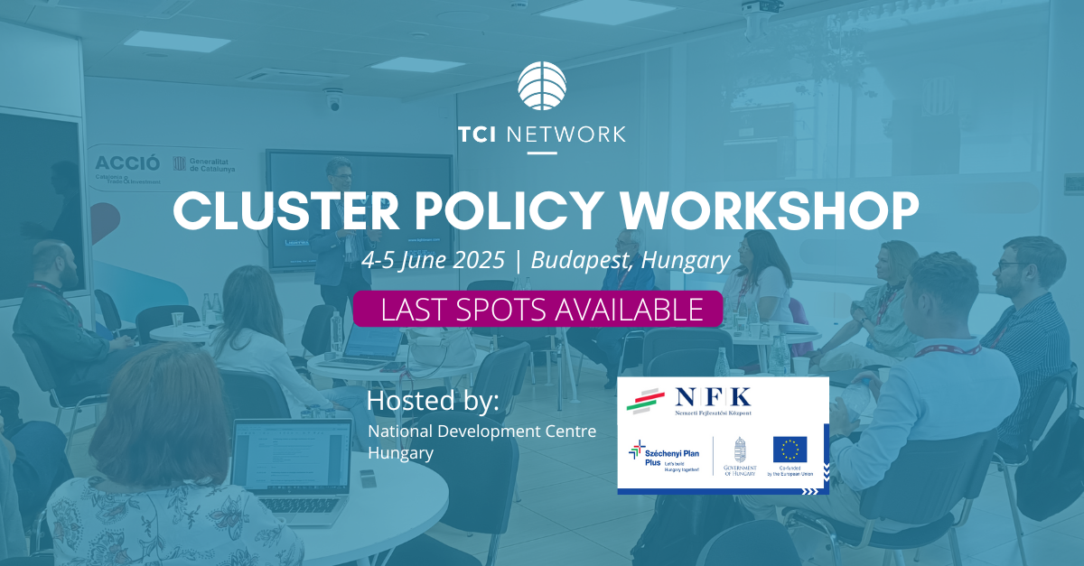 TCI Network | Cluster Policy Workshop 2025